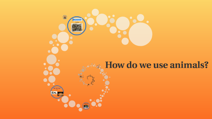 How do we use animals? by Vanessa Hogan on Prezi
