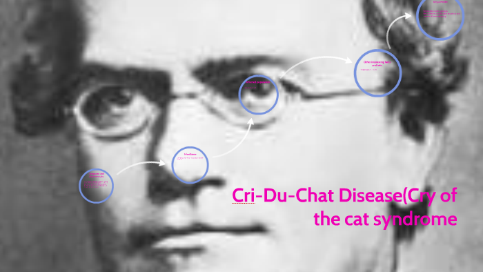Cri-Du-Chat Disease(Cry of the cat syndrome by Logan Ramey on Prezi