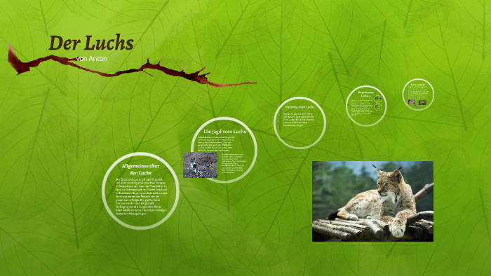 Der Luchs by Anton Peters on Prezi