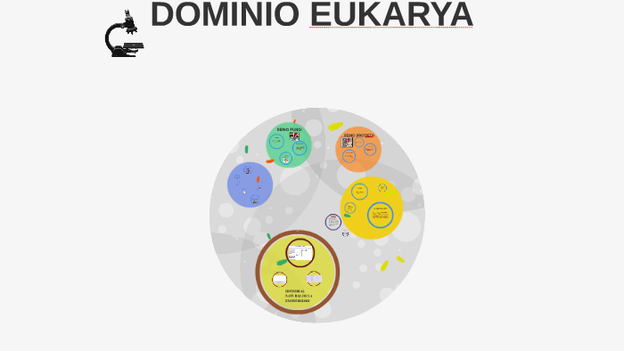 Dominio Eukarya