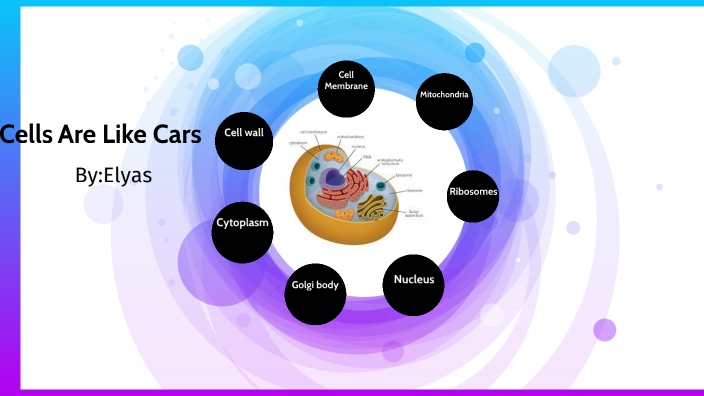 Cells Are Like Cars - Cell Analogy by Elyas Alas on Prezi