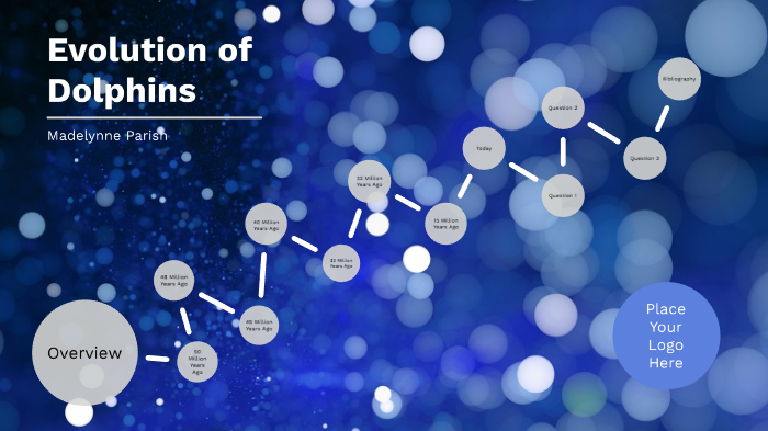Evolution of Dolphins by Madelynne P on Prezi