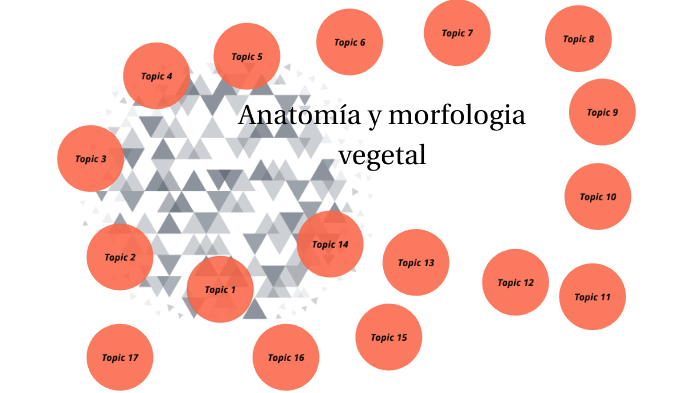 Anatomía y morfología vegetal by Dagoberto García on Prezi