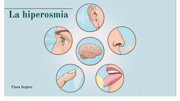 La hiperosmia by Clara Segura on Prezi