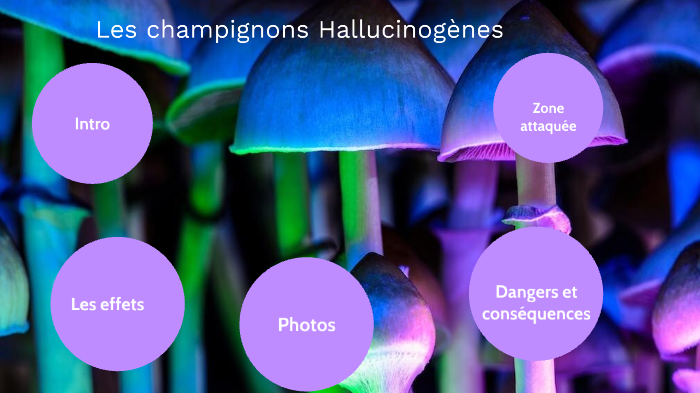 Les champis Hallucinogènes by Loris Aerts on Prezi