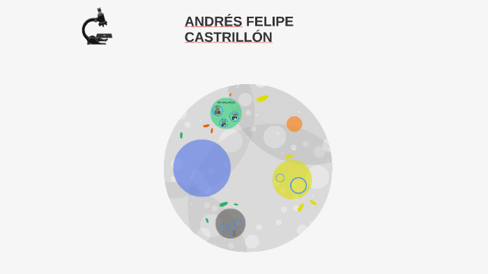 ANDRÉS FELIPE CASTRILLÓN by Andres Felipe Castrillon on Prezi