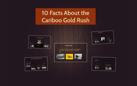 10 Facts About the Gold Rush by Division Three on Prezi