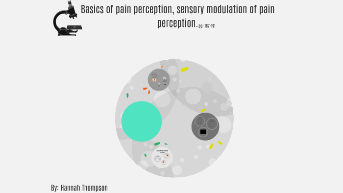 Basics of pain perception, sensory modulation, by Hannah Thompson on Prezi