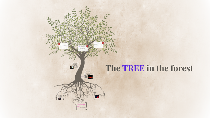 How to grow a tree by Brian Tucek on Prezi