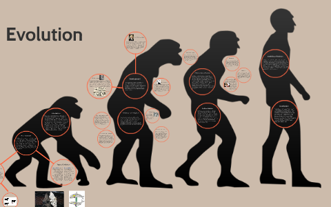 Evolution by Terrence Tam on Prezi