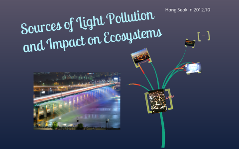 Sources of Light Pollution and Impact on Ecosystems by Hong Seok in on ...