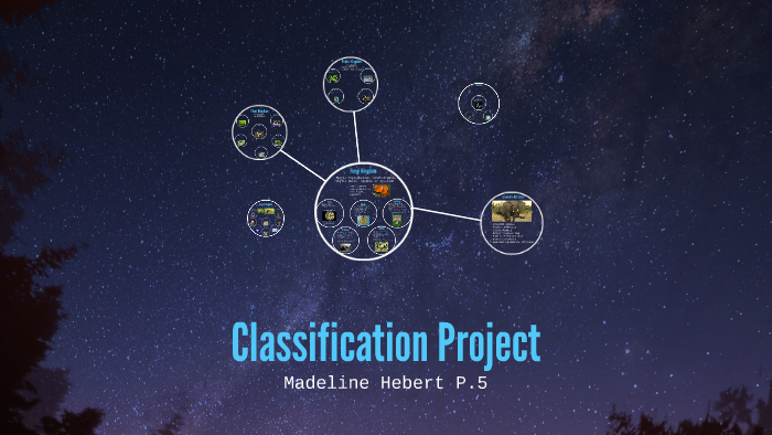 Classification Project by Madeline Hebert