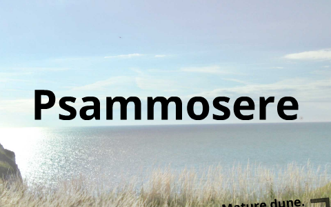 Psammosere by Dillon Sutherland on Prezi