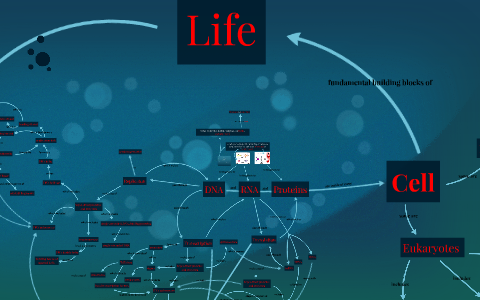 Cell Biology Concept Map by Bee Thao on Prezi