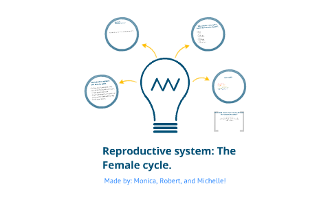 Homeostasis (Female reproductive system). by Michelle Nguyen on Prezi