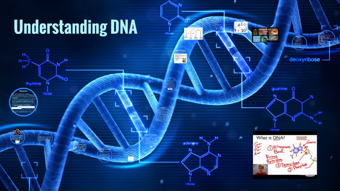Understanding DNA by Lydia Navarro on Prezi