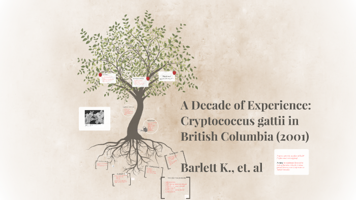 Epidemiology of Cryptococcus gattii, British Columbia, Canad by Soo Kim ...