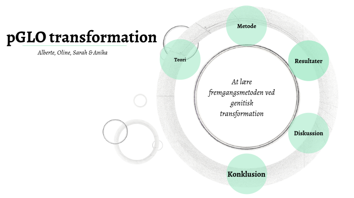 pGLO transformation by anika jørgensen on Prezi