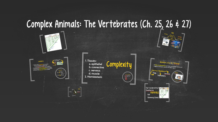 Complex Animals (Ch. 25, 26 & 27) by Kyle Jackson on Prezi