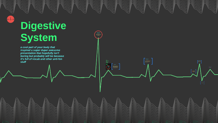 Digestive System by CLAY SEIFERT on Prezi