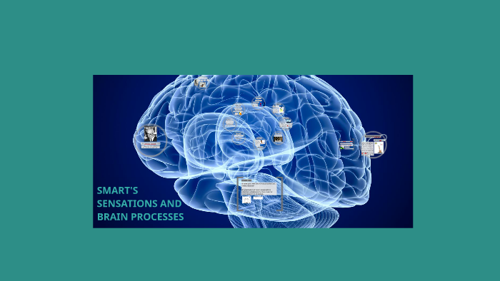 W 7 - Smart's Sensations and Brain Processes by E Ion on Prezi