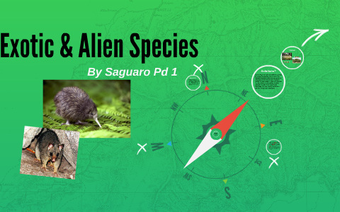 Exotic & Alien Species by on Prezi