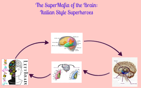 THE BRAIN AND ITS SUPERHEROES by Rachael Schwartz on Prezi