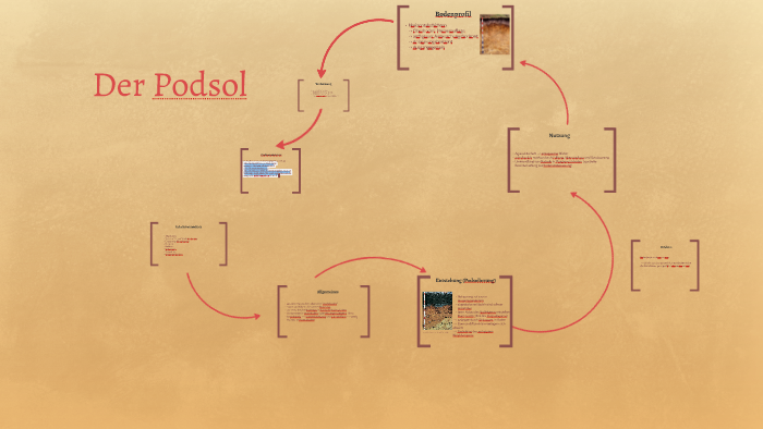 Der Podsol by abercrombie fitch on Prezi