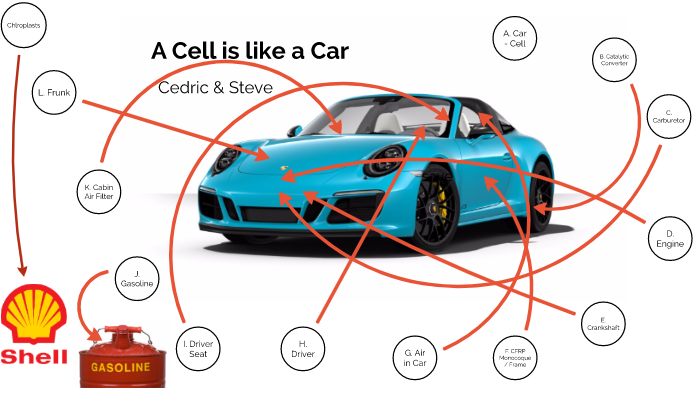 A Cell is like a Car by Steve Kim on Prezi