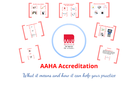 AAHA Accreditation by Derek Nagy on Prezi