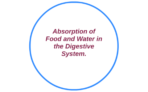 Absorption of Food and Water in the Digestive System. by Ashley Hawkins ...