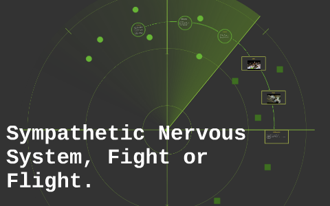 Sympathetic Nervous System, Fight or Flight. by Daniel Russell on Prezi
