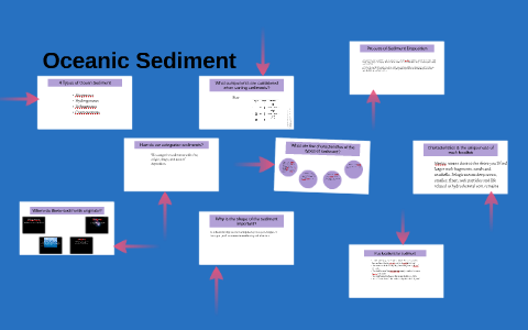 4 Types of Ocean Sediment by Alli Harnois on Prezi