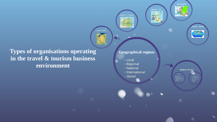 Types of organisations operating in the travel & tourism bus by Marie ...