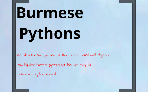 Burmese Pythons by aertyui wu on Prezi