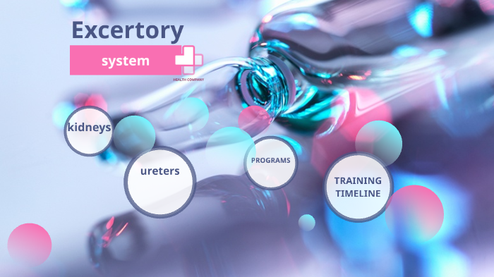 Excertory system by jeff jarrome on Prezi