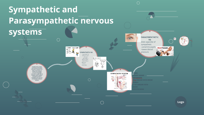 Sympathetic and Parasympathetic nervous systems by carli mauer on Prezi
