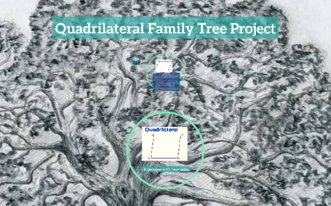 Quadrilateral Family Tree Project by Yafreisi Ortiz