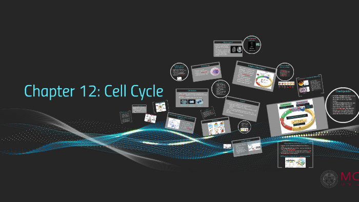 Chapter 12: Cell Cycle by Mikey Parisi on Prezi