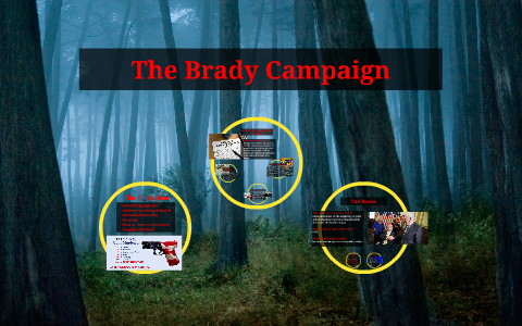 The Brady Campaign by Gerardo Cardona