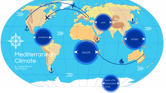 Mediterranean climate areas by Fischer Brown on Prezi