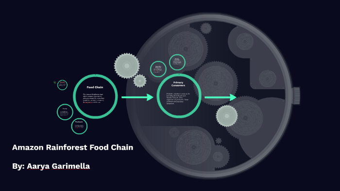 Amazon Rainforest Food Chain by aarya garimella on Prezi