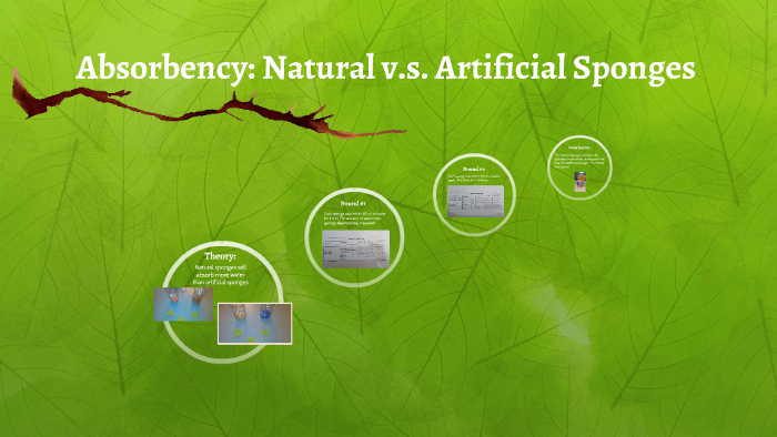 Absorbancy: Natural v.s Artificial Sponges by Averie Jones on Prezi