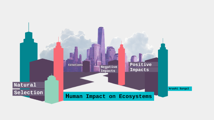 Human Interference on the Environment by Arushi Sangal on Prezi