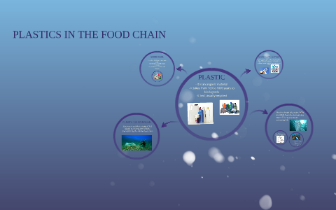 PLASTICS IN THE FOOD CHAIN by Roberta Giampieri on Prezi
