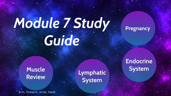 Module 7 Study Guide by Katie Acton on Prezi