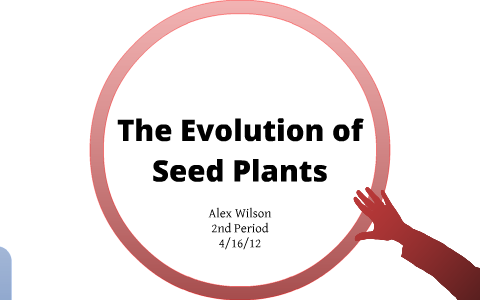 The Evolution of Seed Plants by Alex Wilson on Prezi
