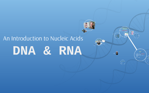 An Introduction to Nucleic Acids by Jessica Ly