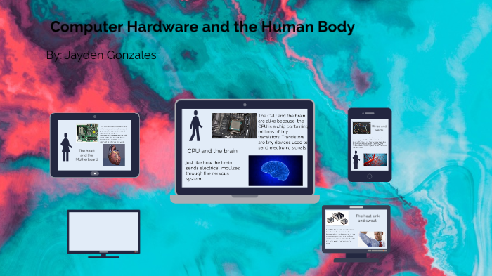 Analogy of Computer Hardware and the Human Body by Jayden Gonzales on Prezi