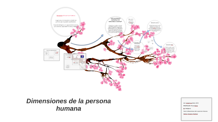 Dimension de la persona humana by Tatiana Gongora Pedroso